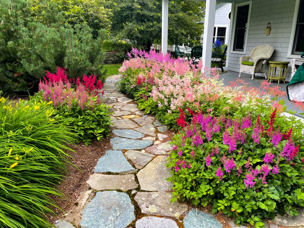 Services – MDI Property Maintenance & Management